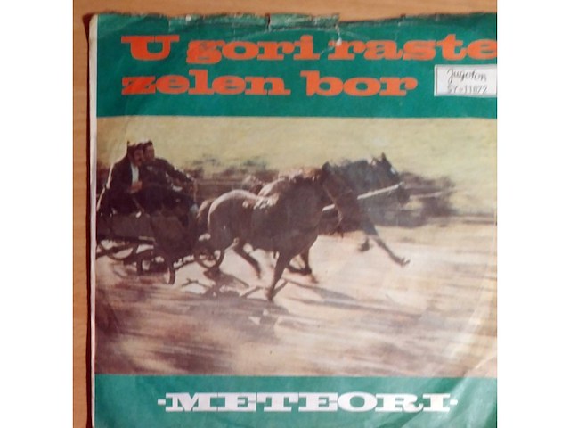 SP VIS METEORI - U gori raste zelen bor (1971)