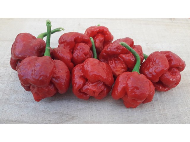7 Pot SR - Chili pepper 20 semenki