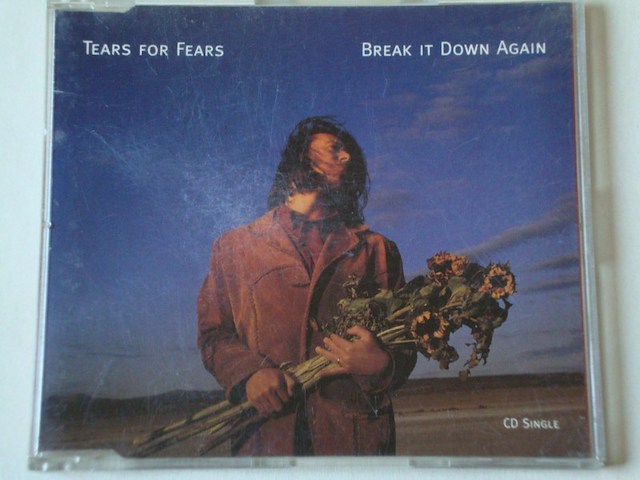 Tears For Fears - Break It Down Again