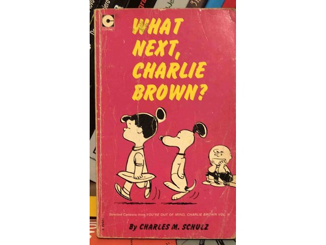 Snoopy 26 - What next, Charlie Brown?