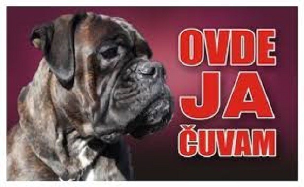 Tabla-Ovde ja čuvam BOKSER 1