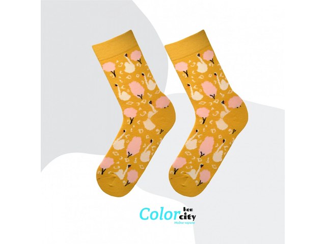 Šarene modne čarape- KenColorCity