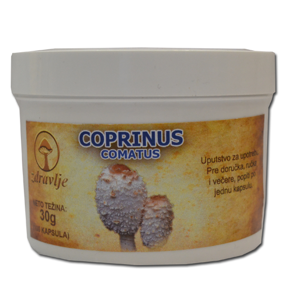 Coprinus Comatus 100 kapsula