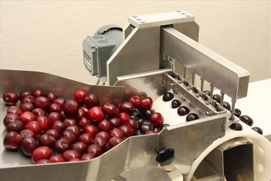Mašine za odkošćavanje voća