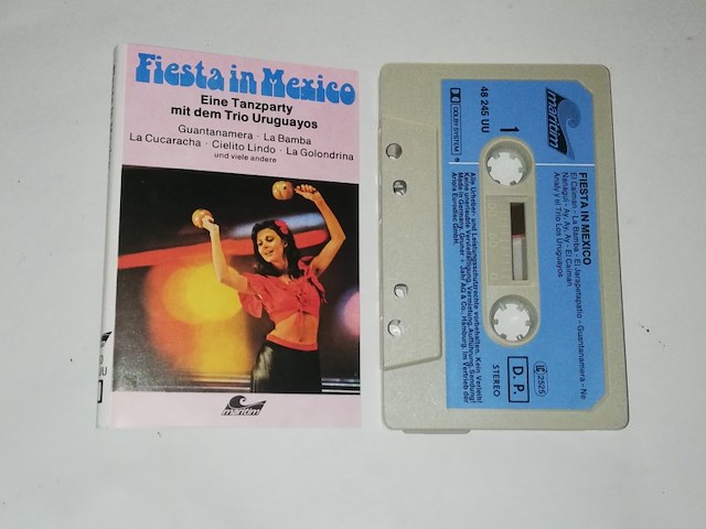 fiesta in mexico