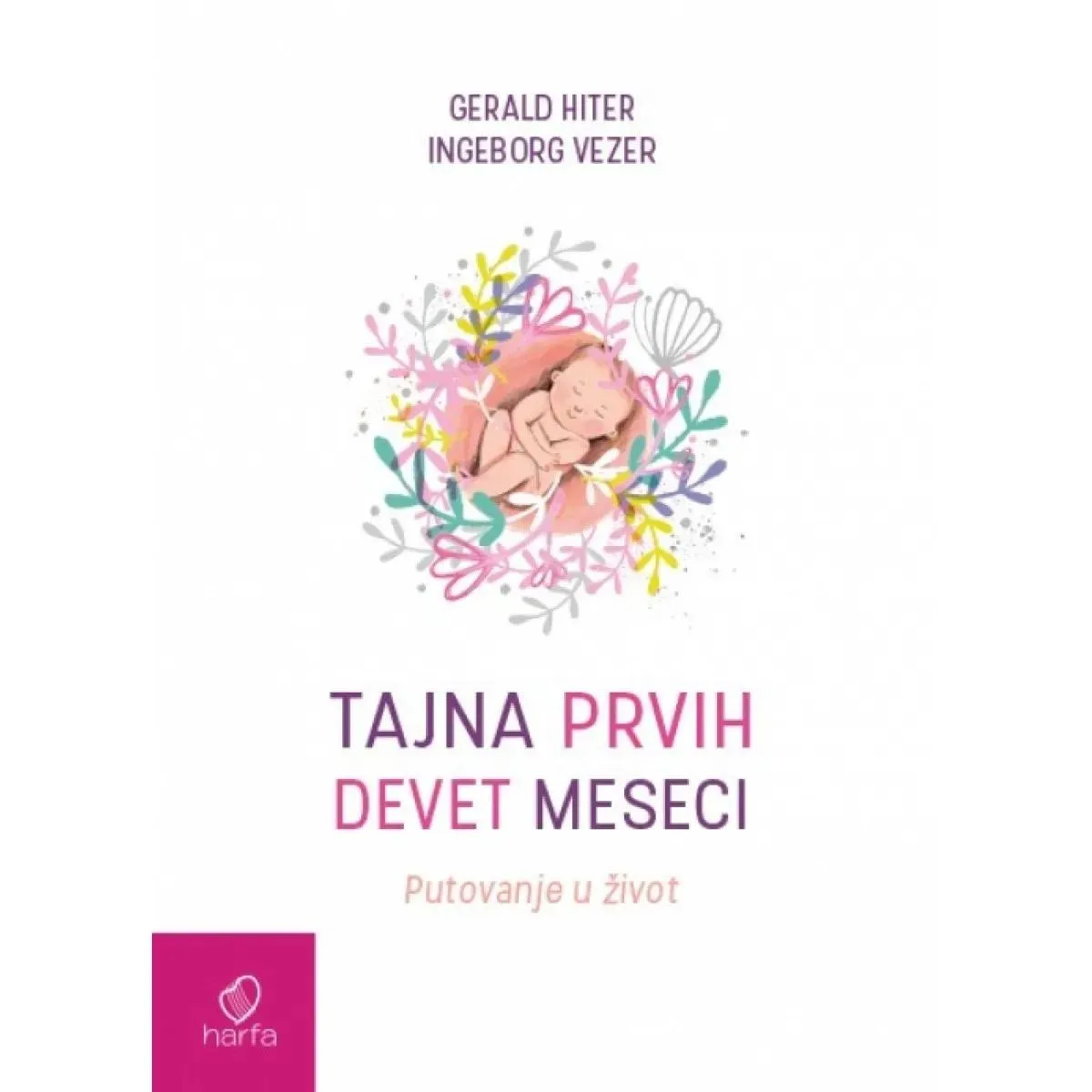 TAJNA PRVIH DEVET MESECI