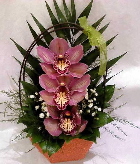 Aranžman – 3 orhideje u korpi sa rekoracijom