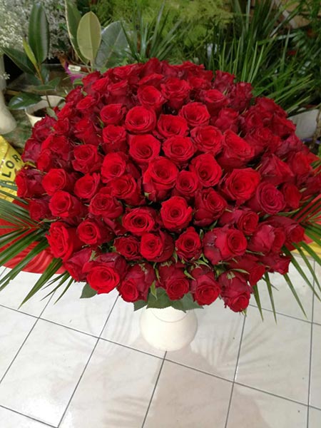 Romantični buket od 101 crvene ruže