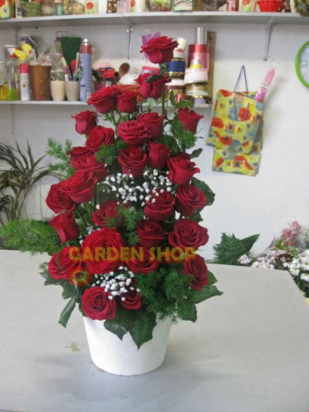 Buket – 31 crvena ruža u korpi sa zelenilom