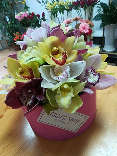 Flower box sa 21 orhidejom