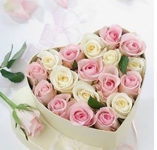Flower box u obliku srca sa 17 ruža