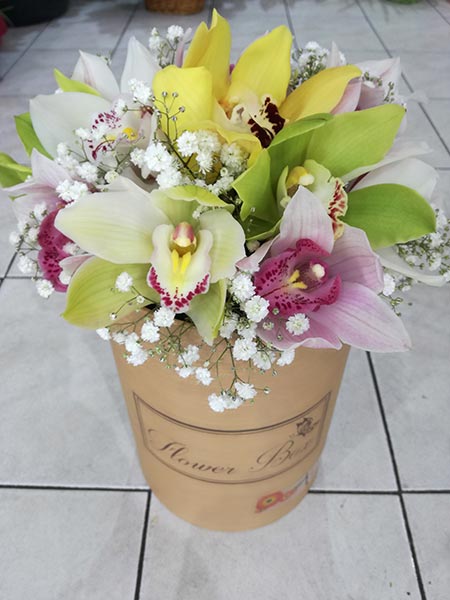 Flower box sa 11 orhideja