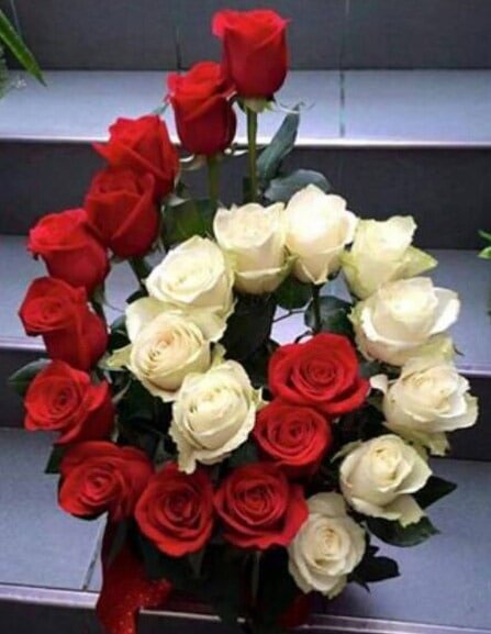 Aranžman sa 12 crvenih i 11 belih ruža