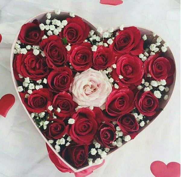 18 crvenih i 1 bela ruža, upakovanih u obliku srca sa gipsofilom