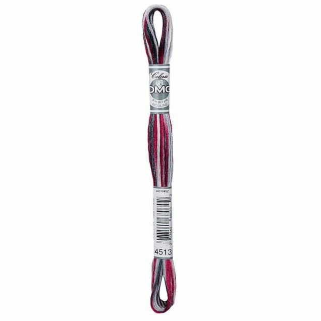 DMC MOULINE COLORIS 4513
