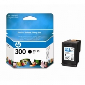 HP CC640EE Black Ink Cartridge (HP 300)