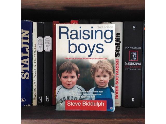 Raising boys Steve Biddulph