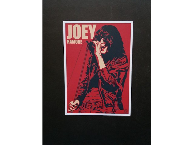 Joey Ramone ( Ramones)