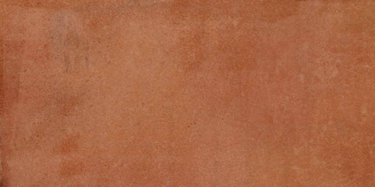 MAIOLICA BROWN 25X50 1.62