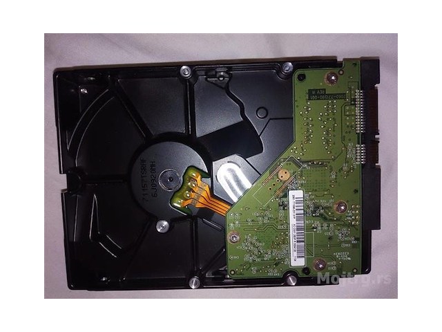 KAO NOV WESTERN DIGITAL GREEN WD3200AVVS