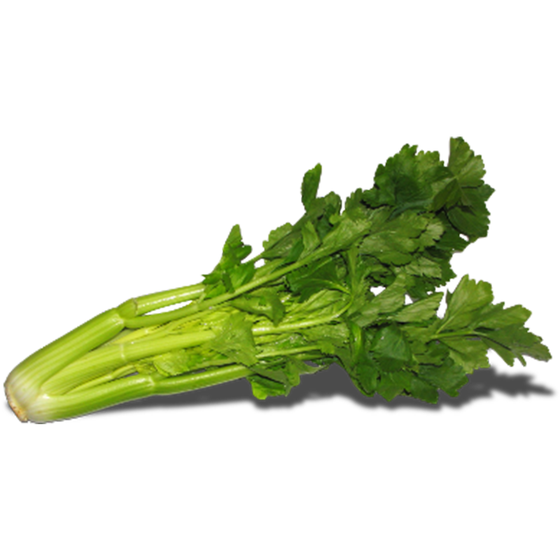 Celer list