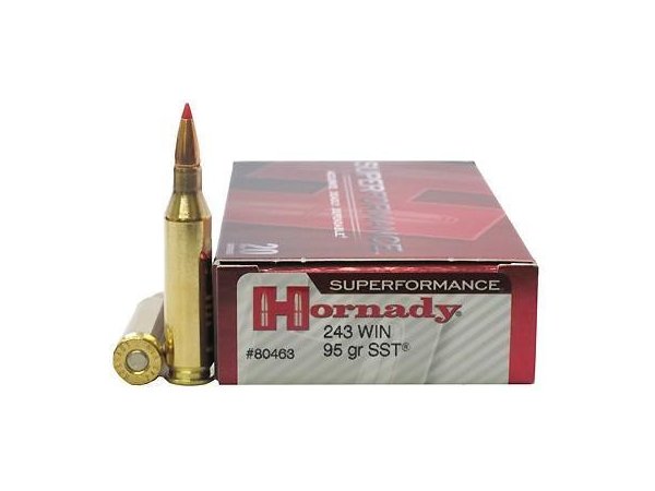 KARABINSKI METAK HORNADY .243 WIN. 95GR SST-6,2g