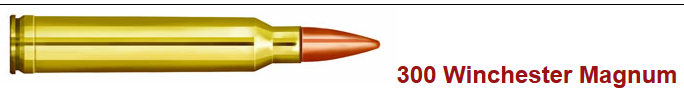 300 Winchester Magnum GROM – PPU