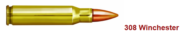 308 WINCHESTER SP – PPU