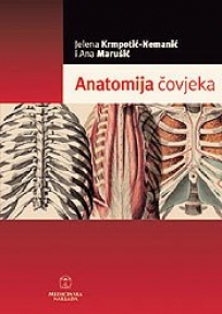 Anatomija čovjeka