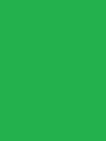 Visico Muslin pozadina zelena boja 3x6m