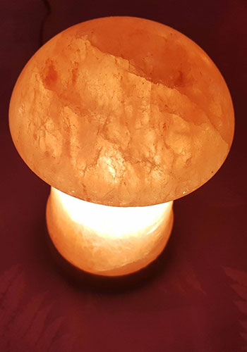 Lampa od himalajske soli – Pečurka