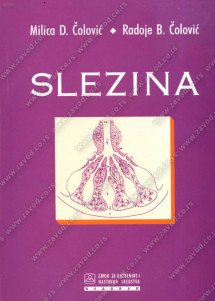 SLEZINA