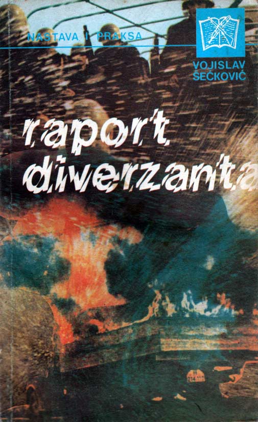 RAPORT DIVERZANTA