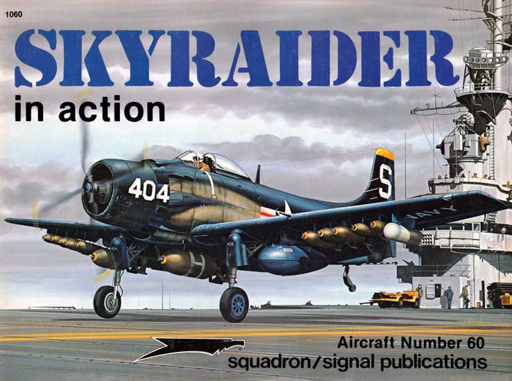 SKYRAIDER in Action