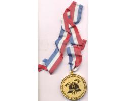 G17565 - Medalja opštinskog vatrogasnog saveza Pančevo