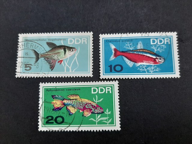DDR 80 fauna