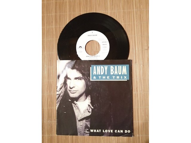 Andy Baum &; The Trix ‎– What Love Can Do