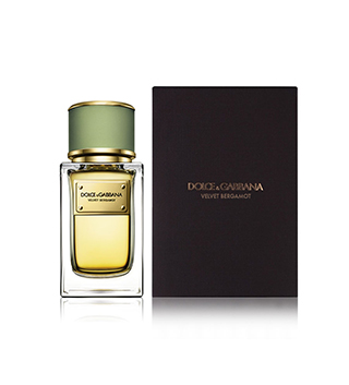Velvet Bergamot Dolce&Gabbana parfem
Dolce&Gabbana parfem
eau de parfum, 150 ml