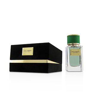 Velvet Cypress Dolce&Gabbana parfem
Dolce&Gabbana parfem
eau de parfum, 150 ml