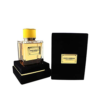 Velvet Ginestra Dolce&Gabbana parfem
Dolce&Gabbana parfem
eau de parfum, 50 ml