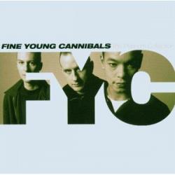 Fine Young Cannibals - The Platinum Collection