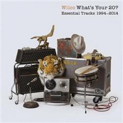 Wilco - Whats Your 20?