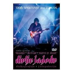 Divlje Jagode - Live 2004