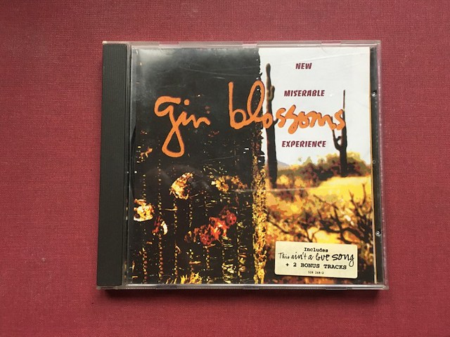 Gin Blossoms - NEW MiSERABLE EXPERiENCE    1992