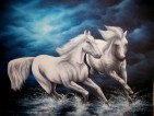 Slika, beli konji