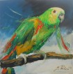 Papagaj, ulje na platnu, 70×70 cm, akademski slikar Penkov, 250 evra