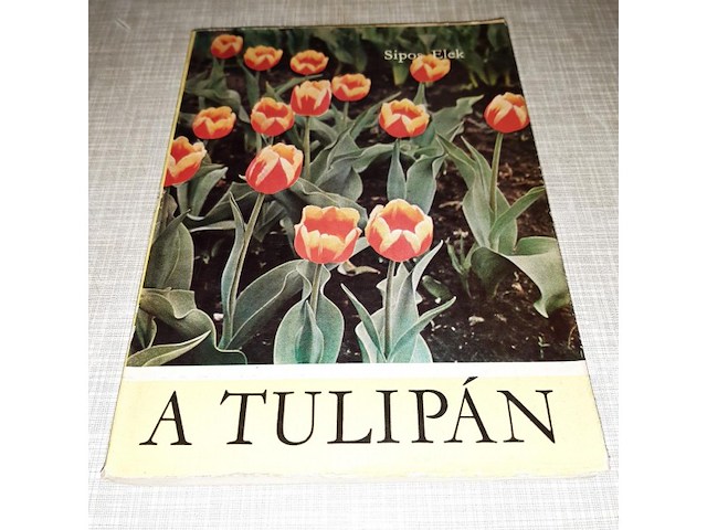 Sipos Elek A tulipán