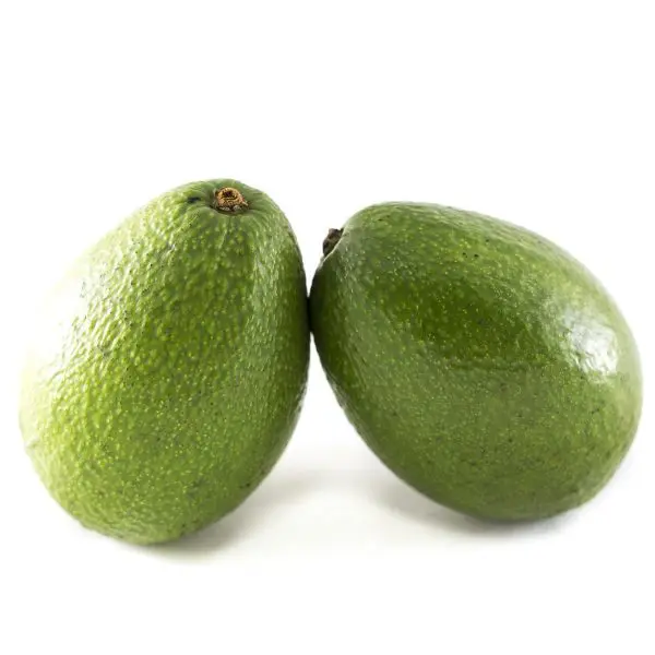 AVOKADO