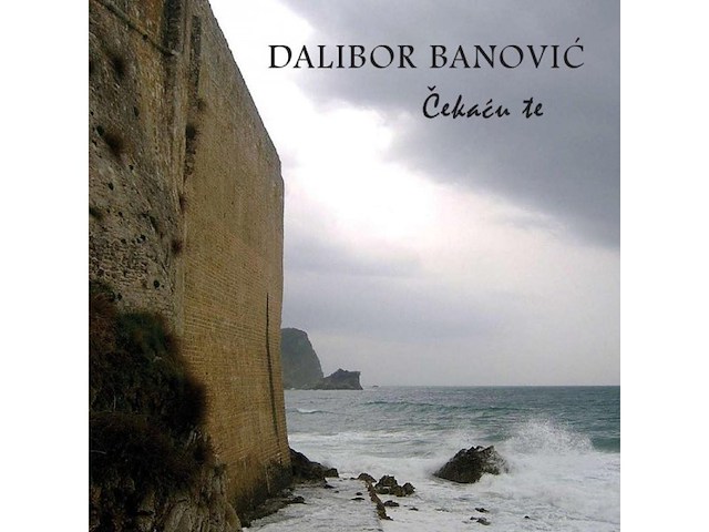 DALIBOR BANOVIĆ - ČEKAĆU TE