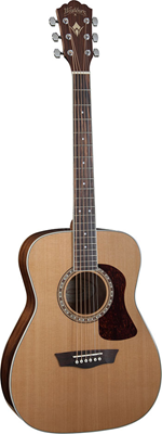 Washburn D10STS